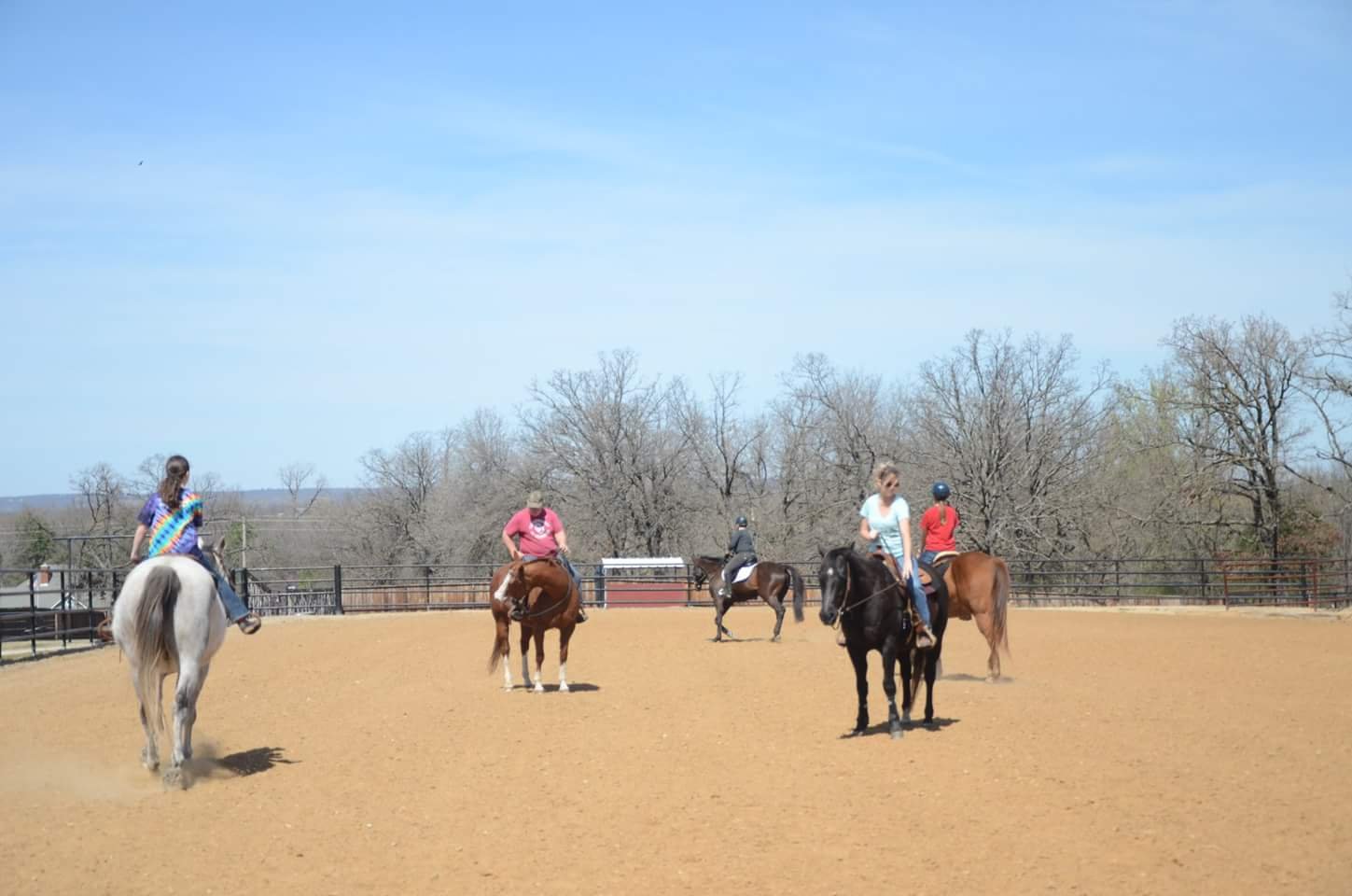 Services | Flyers Riding Stables